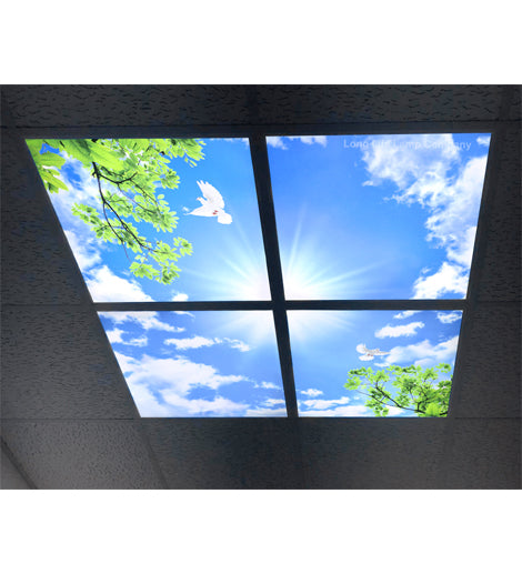 LED Panel Sky Scene Ceiling Light 600 x 600 (4 set) Birds, Clouds, Sun ...